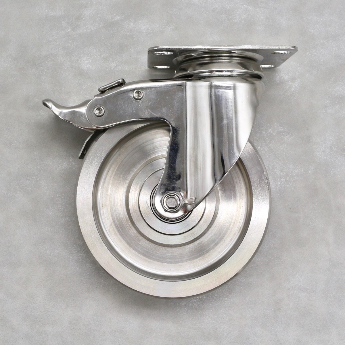 Stainless Steel Caster